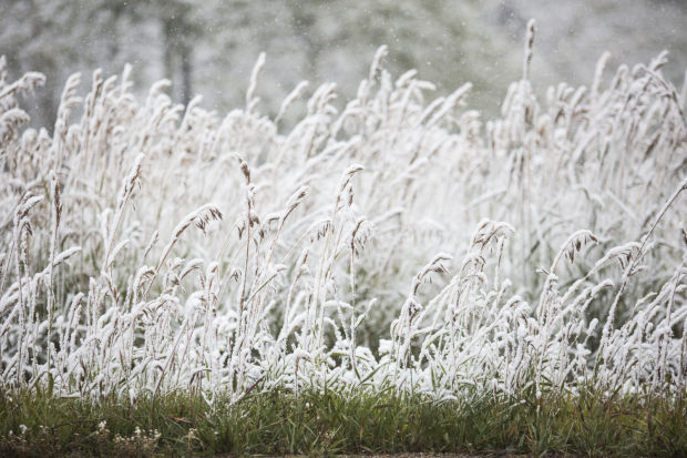 September snow somewhat rare for central Wyoming