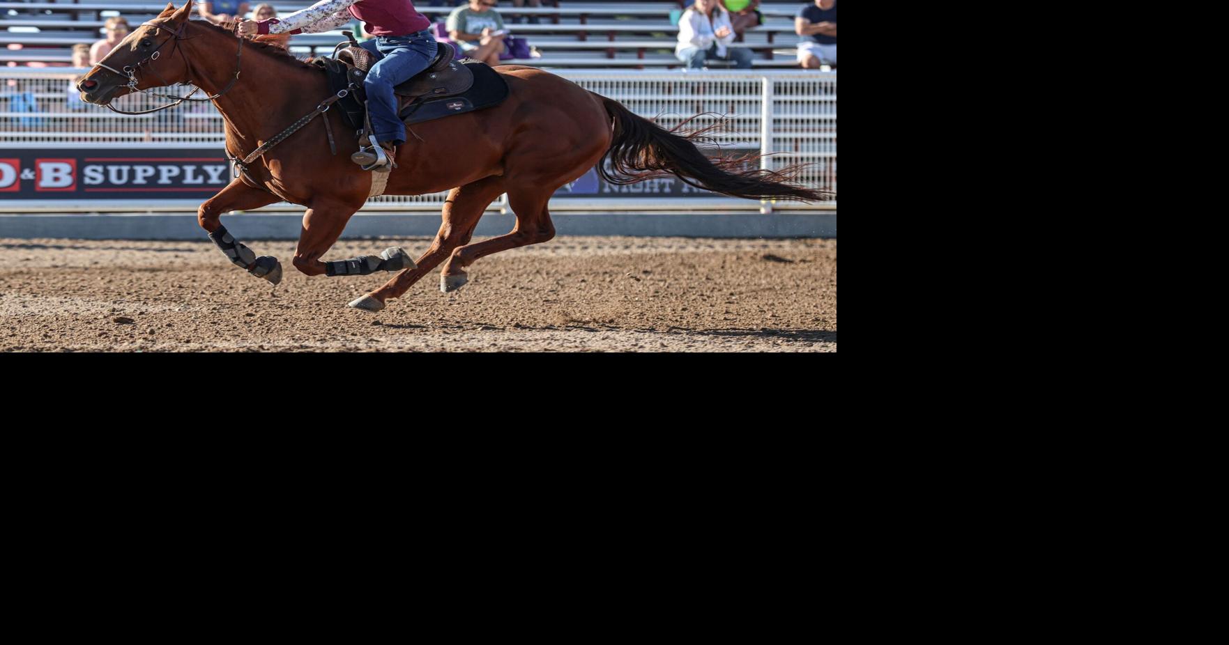PRCA/WPRA pro rodeo world standings through Aug. 16