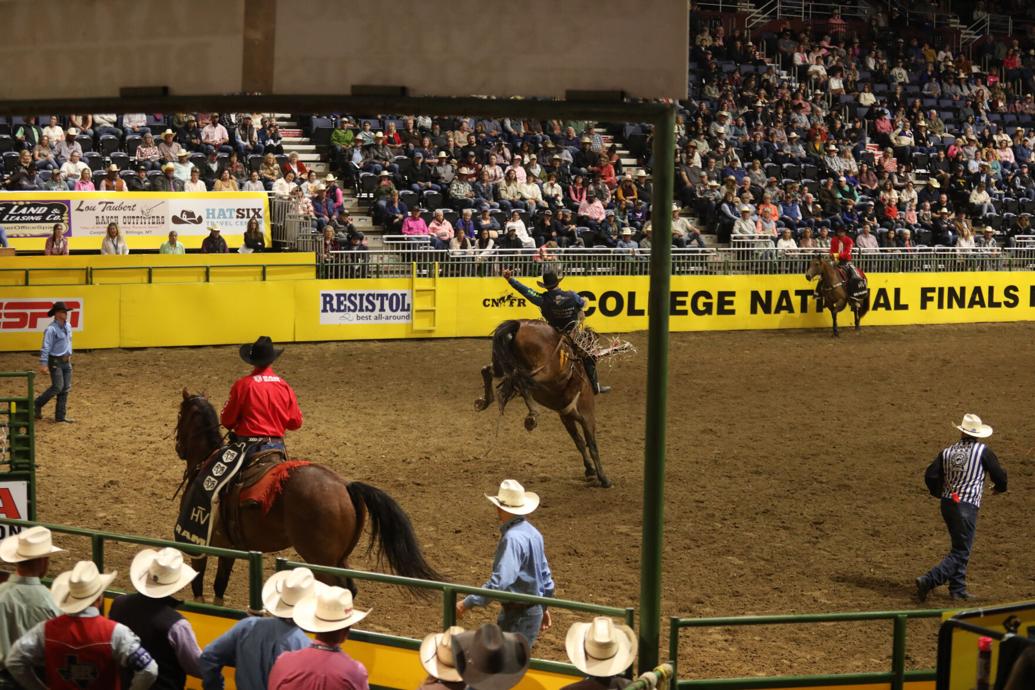 Bradlee Miller takes long road to bareback final; Tristen Hutchings on ...