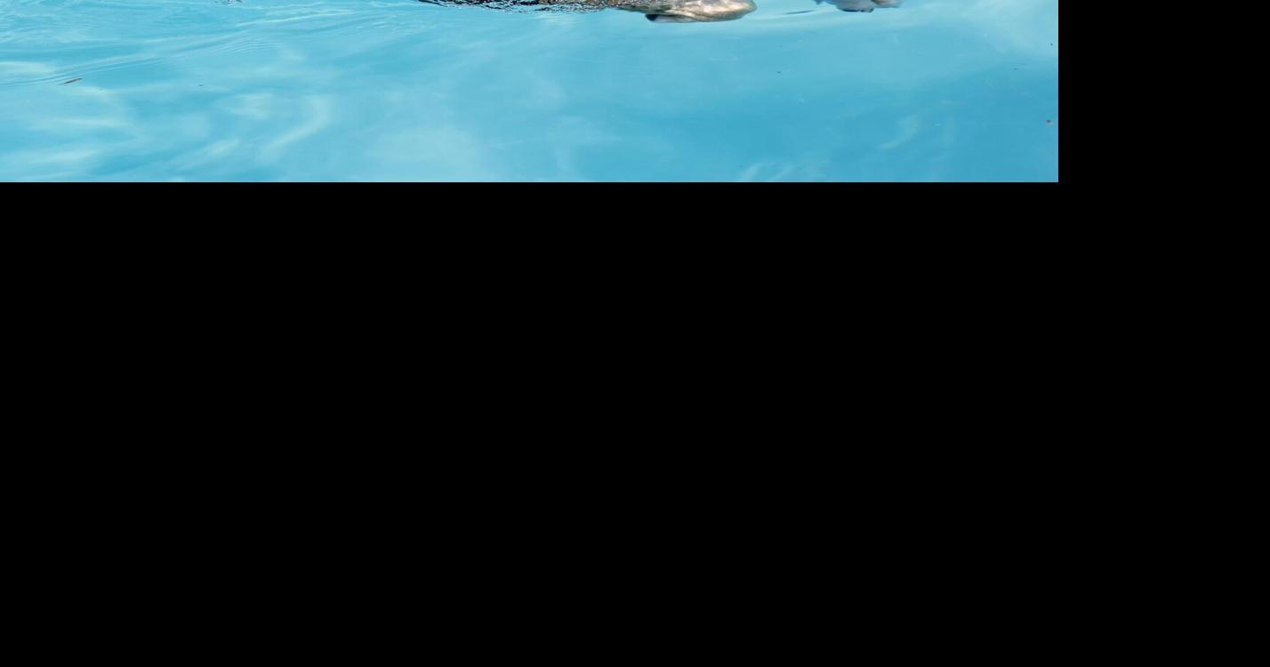 Community Calendar: Things to do in Casper