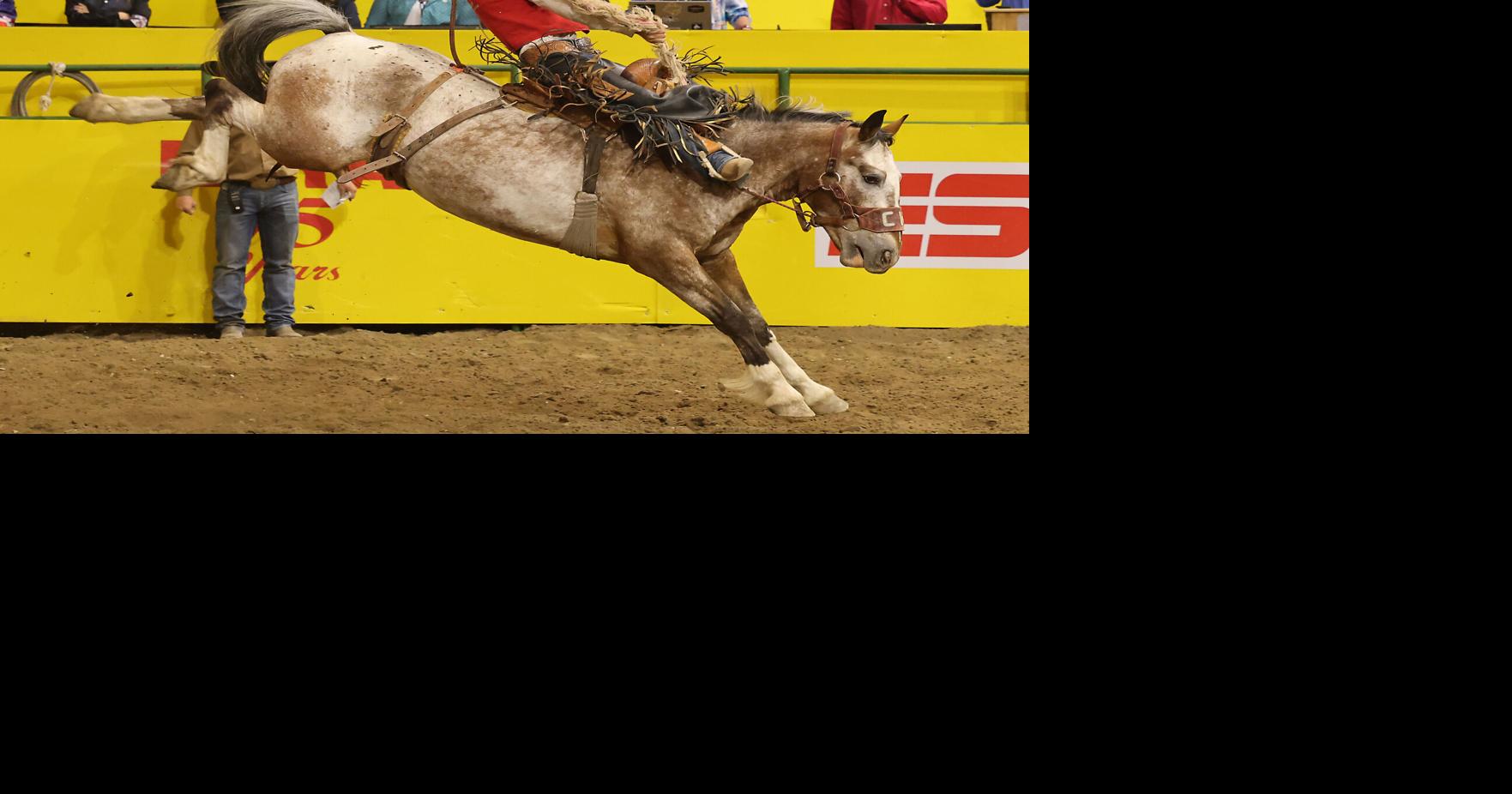 Position draw is set for the College National Finals Rodeo