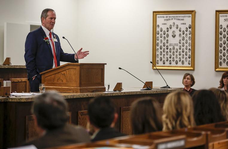 More than 30 Wyoming legislators sign on to bill to repeal most gun ...