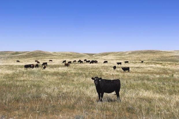 Lummis family ranch outside Cheyenne sold