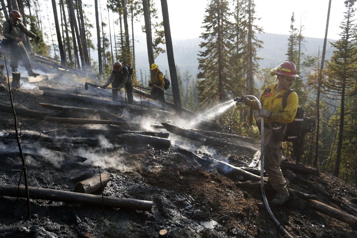 Fire danger high in Grand Teton National Forest