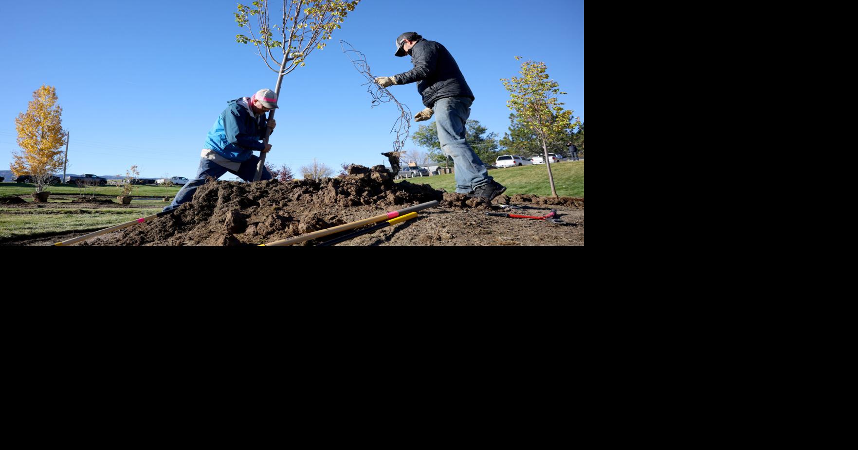 Casper park to become home to dozens of tree species