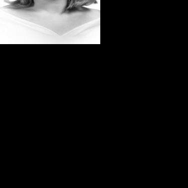 Deborah (Davis) Caughron