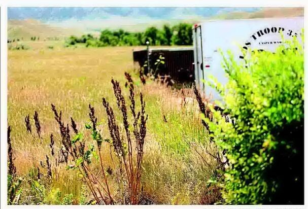 Page A4 eedition image