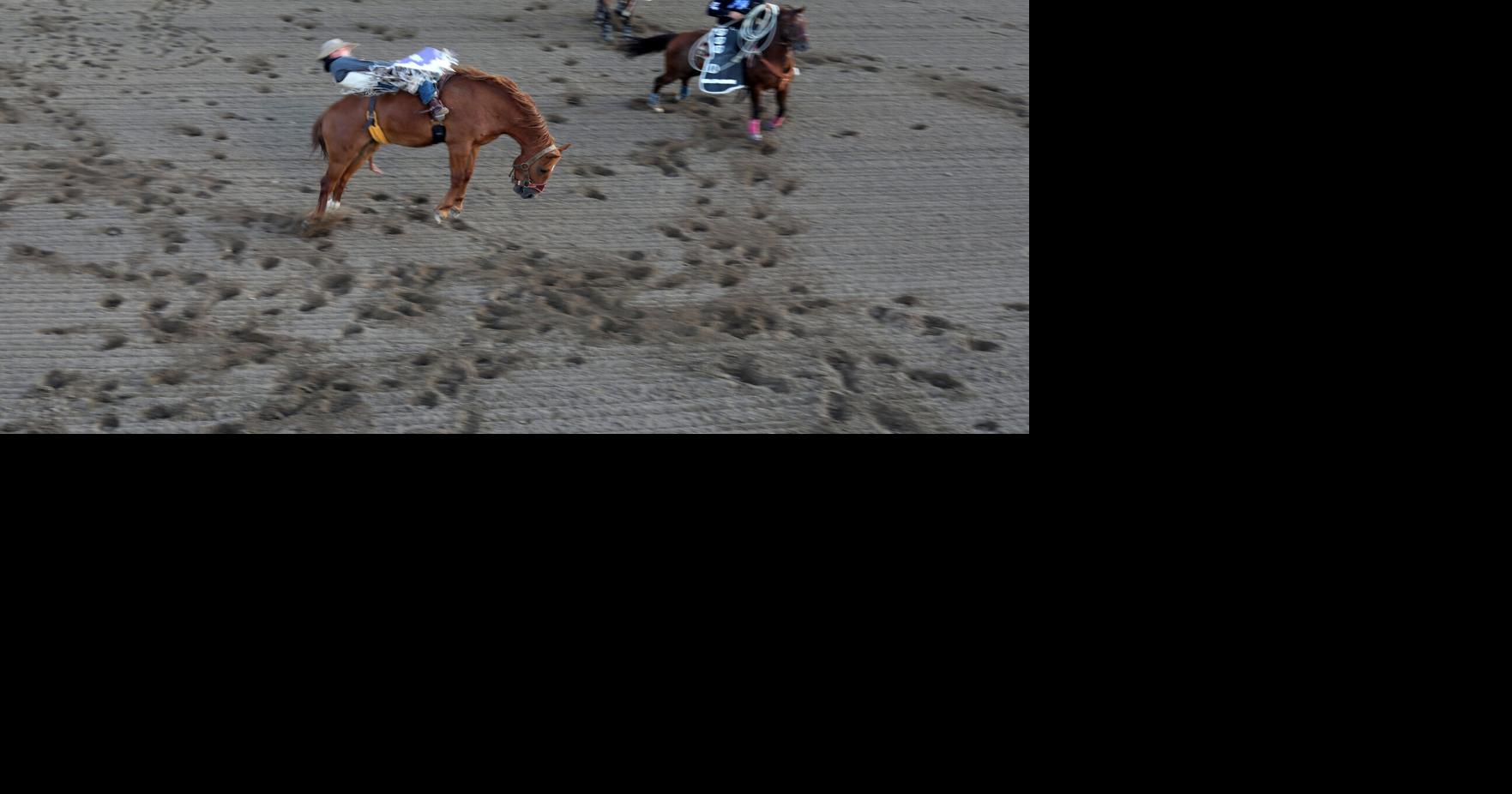 PRCA/WPRA standings entering the National Finals Rodeo