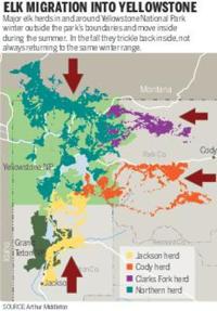 Researchers look at key Yellowstone area elk migrations | Open Spaces ...