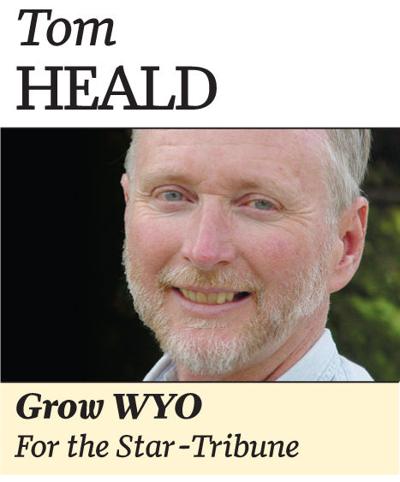 Gro Wyo: Fruit for your landscape