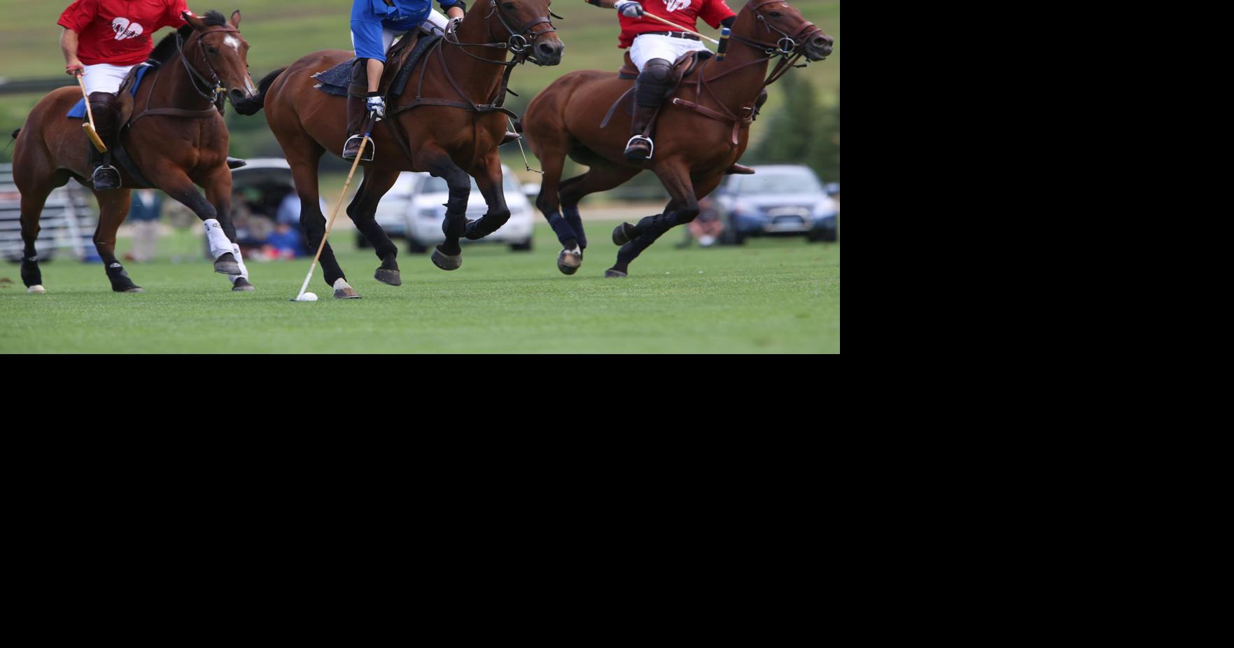'Heaven on Earth:' Polo continues to draw crowds in Sheridan