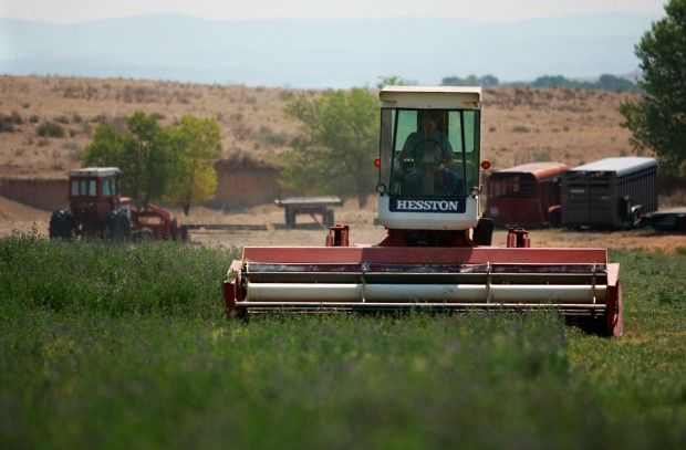USDA agriculture programs assist 24 percent of Wyoming farms and ...