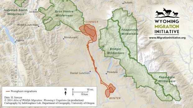 Migration routes mapped in Wyoming | Open Spaces | trib.com