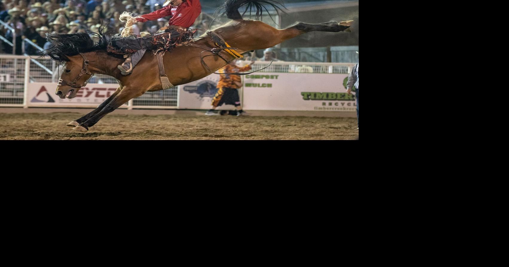 PRCA/WPRA rodeo standings through Aug. 18