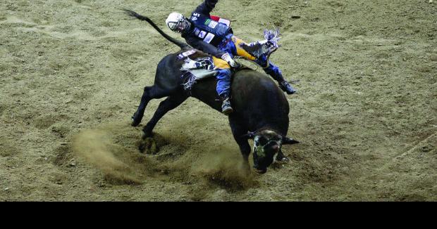 Pro rodeo: Shane Proctor wins first round of bull riding at National ...