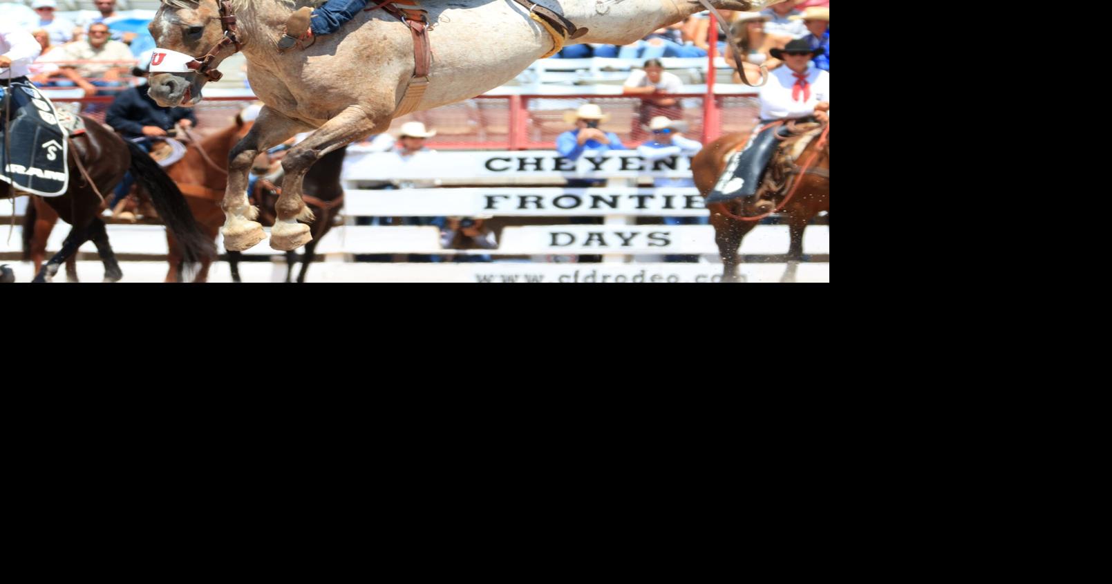 PRCA/WPRA pro rodeo standings through July 21