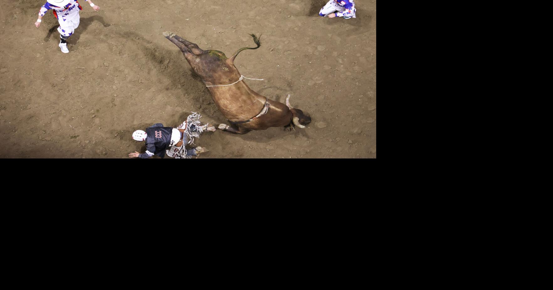Powell's Brody Wells is in contention for CNFR saddle bronc championship