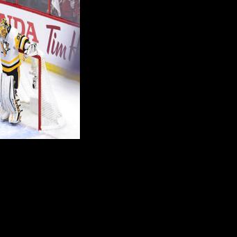 Ashley Chase | Meltdown not all on Fleury’s play in net | Sports ...