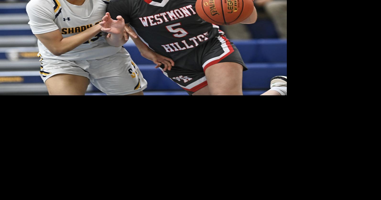 3 area hoops teams set for PIAA semifinals | Sports | tribdem.com