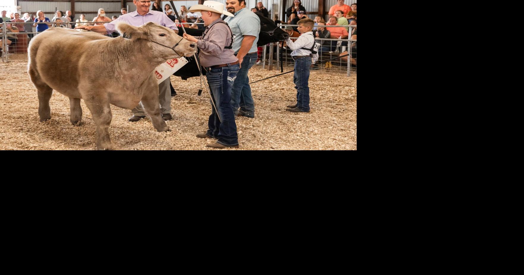 Somerset County youth's 'Champion' steer sells for $17K at Pa Farm Show ...