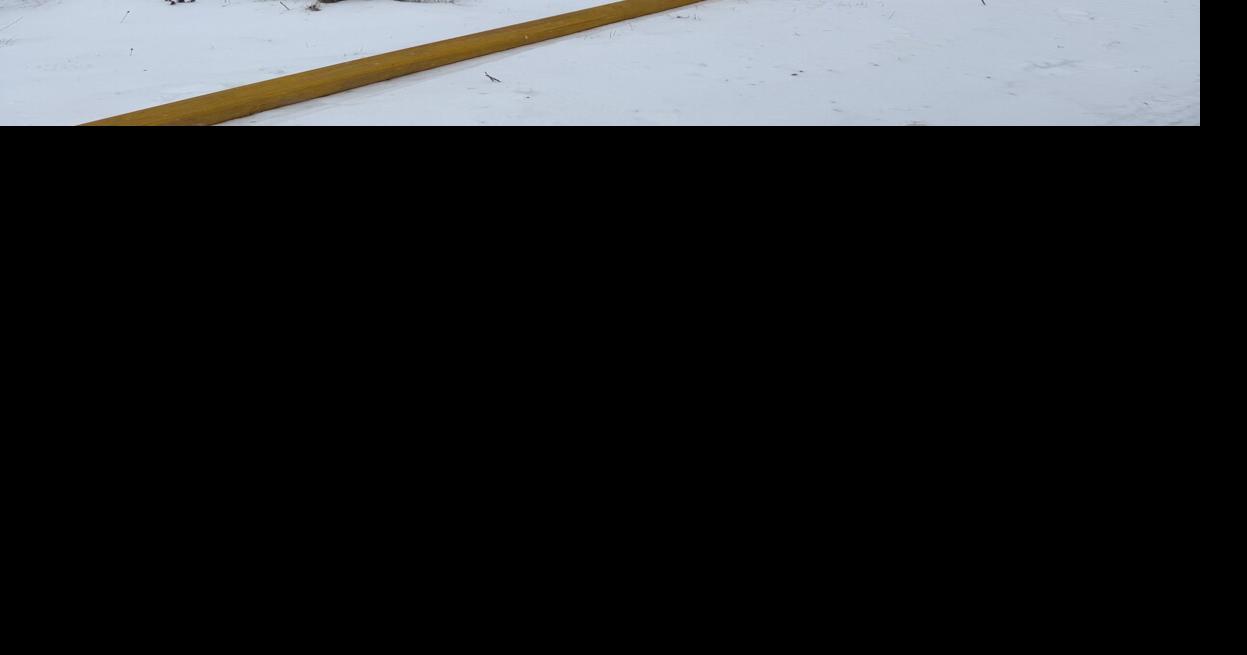 Fire chief: East Carroll Township business, home a total loss | News ...