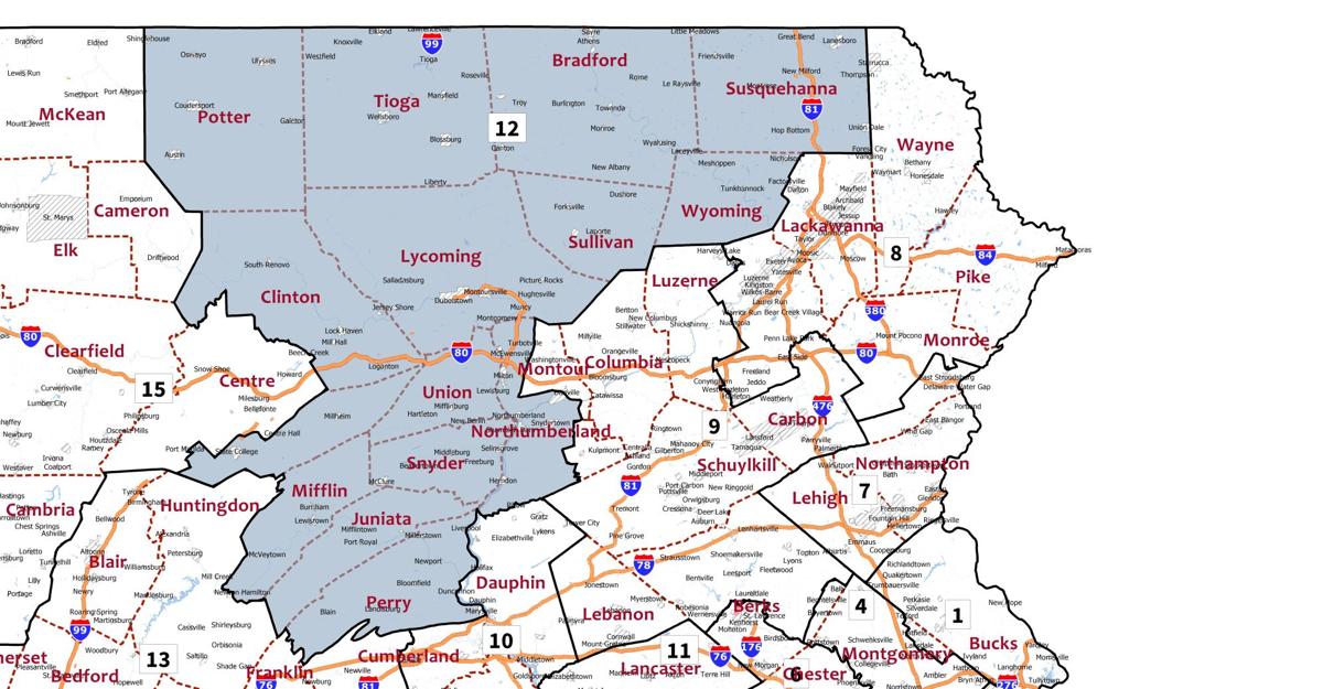 State Supreme Court unveils new redistricting plan | News | tribdem.com