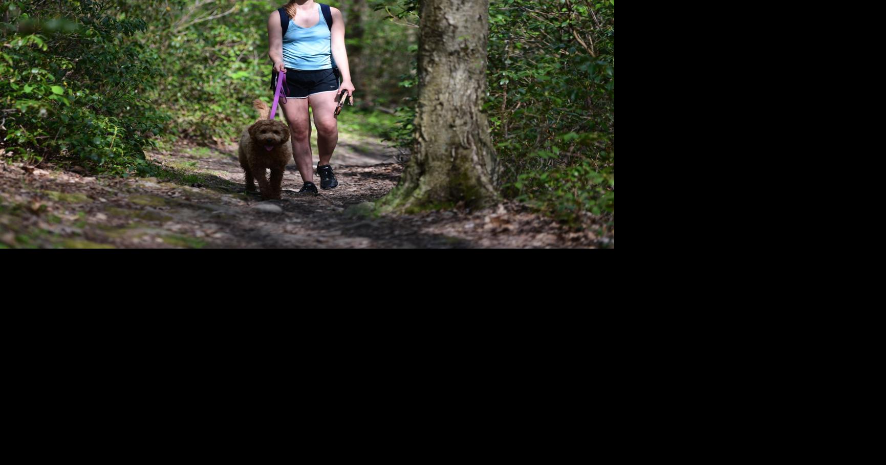 Kendra Biery 2 | | tribdem.com