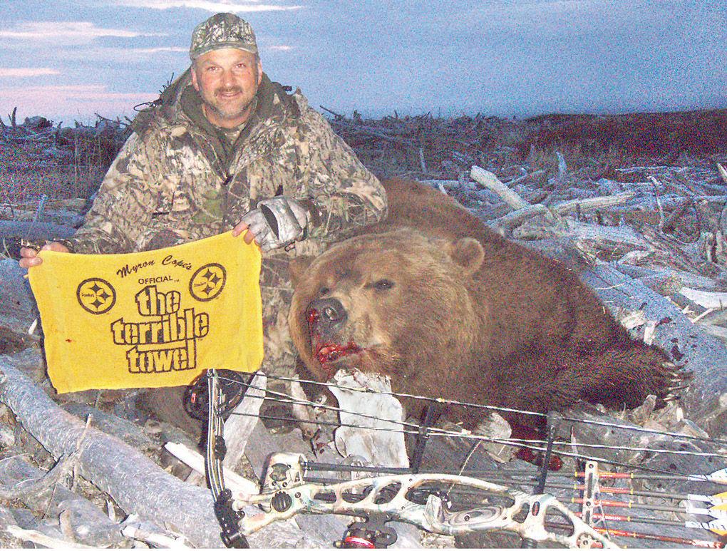 Top 3 Colossal Grizzly Bears in History: Sizes That Amaze