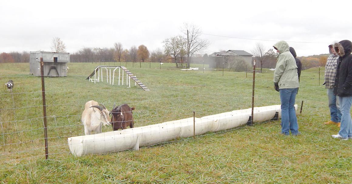 Boswell farm to help community grow, heal | News | tribdem.com