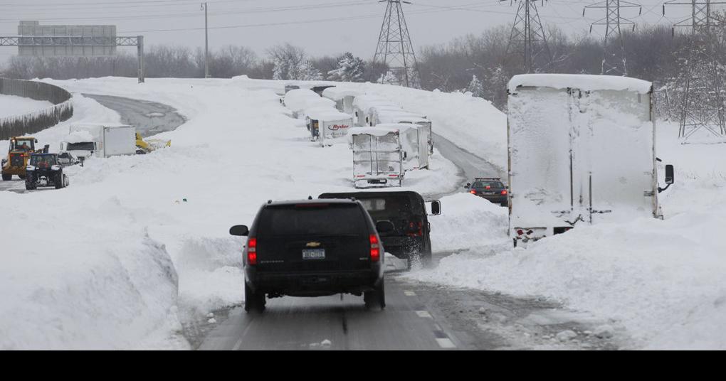 buffalo A1 | | tribdem.com