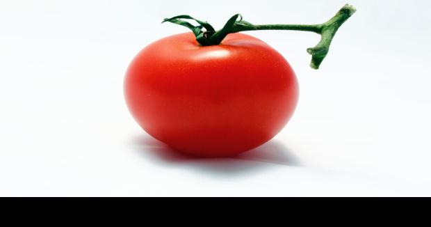 1354290_53373780.jpg | | tribdem.com