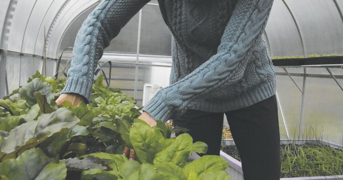 Pandemic inspires surge in homesteading with edible landscapes ...