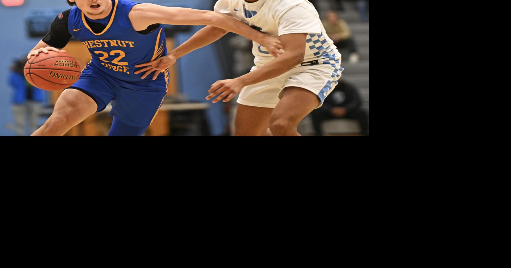 PHOTO GALLERY | Greater Johnstown's Tisinger reaches 1,000th point ...