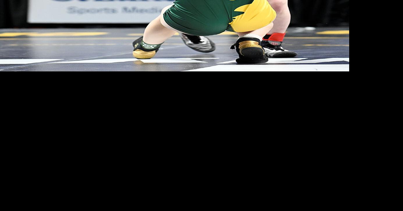 PHOTO GALLERY | Chestnut Ridge sisters move on to PIAA wrestling finals ...