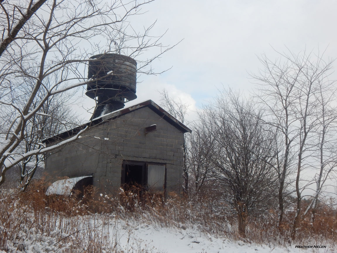 Picture This – top historic photos submitted by readers | | tribdem.com