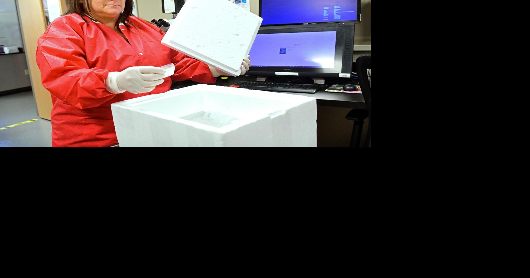 Breast Cancer Awareness | PHOTO GALLERY | Windber researchers could be ...