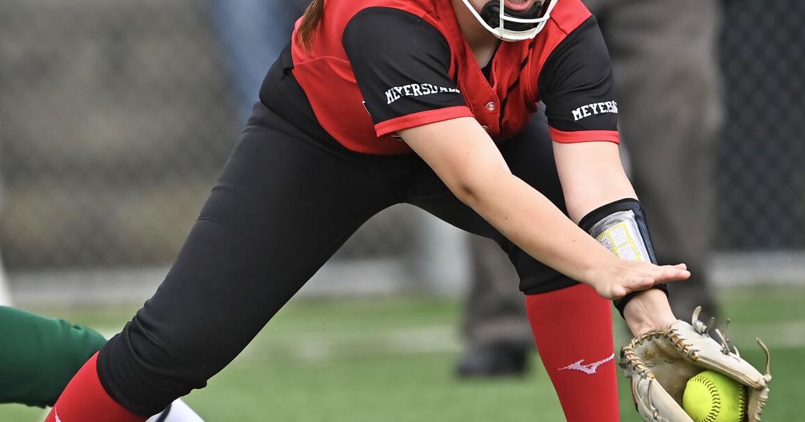 Scholastic baseball/softball roundup | Forest Hills blanks Chestnut ...