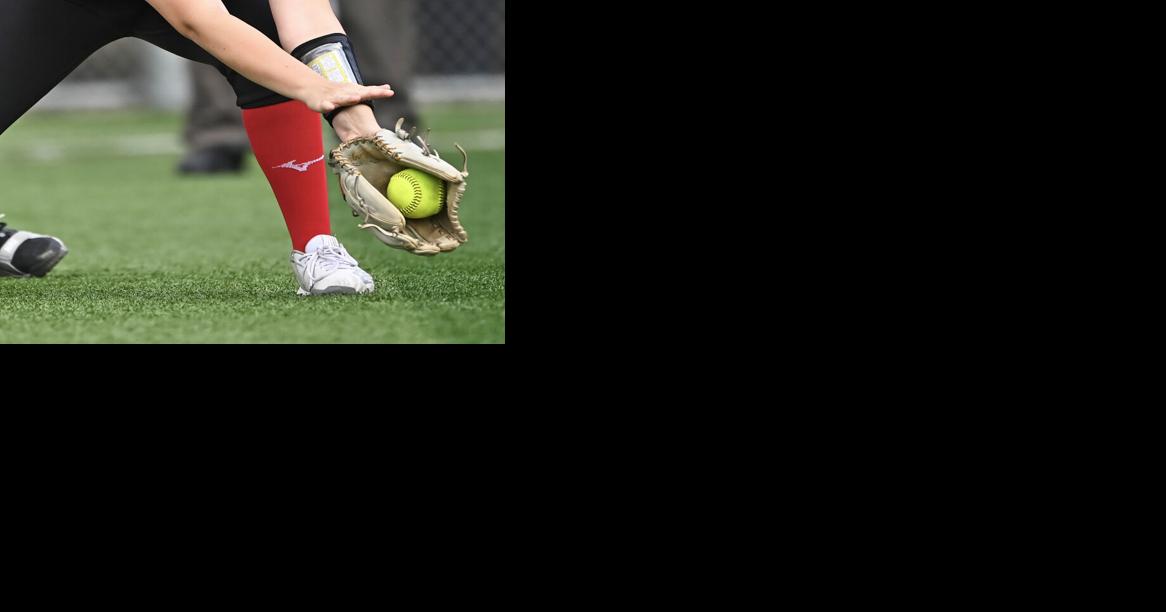 Scholastic baseball/softball roundup | Forest Hills blanks Chestnut ...