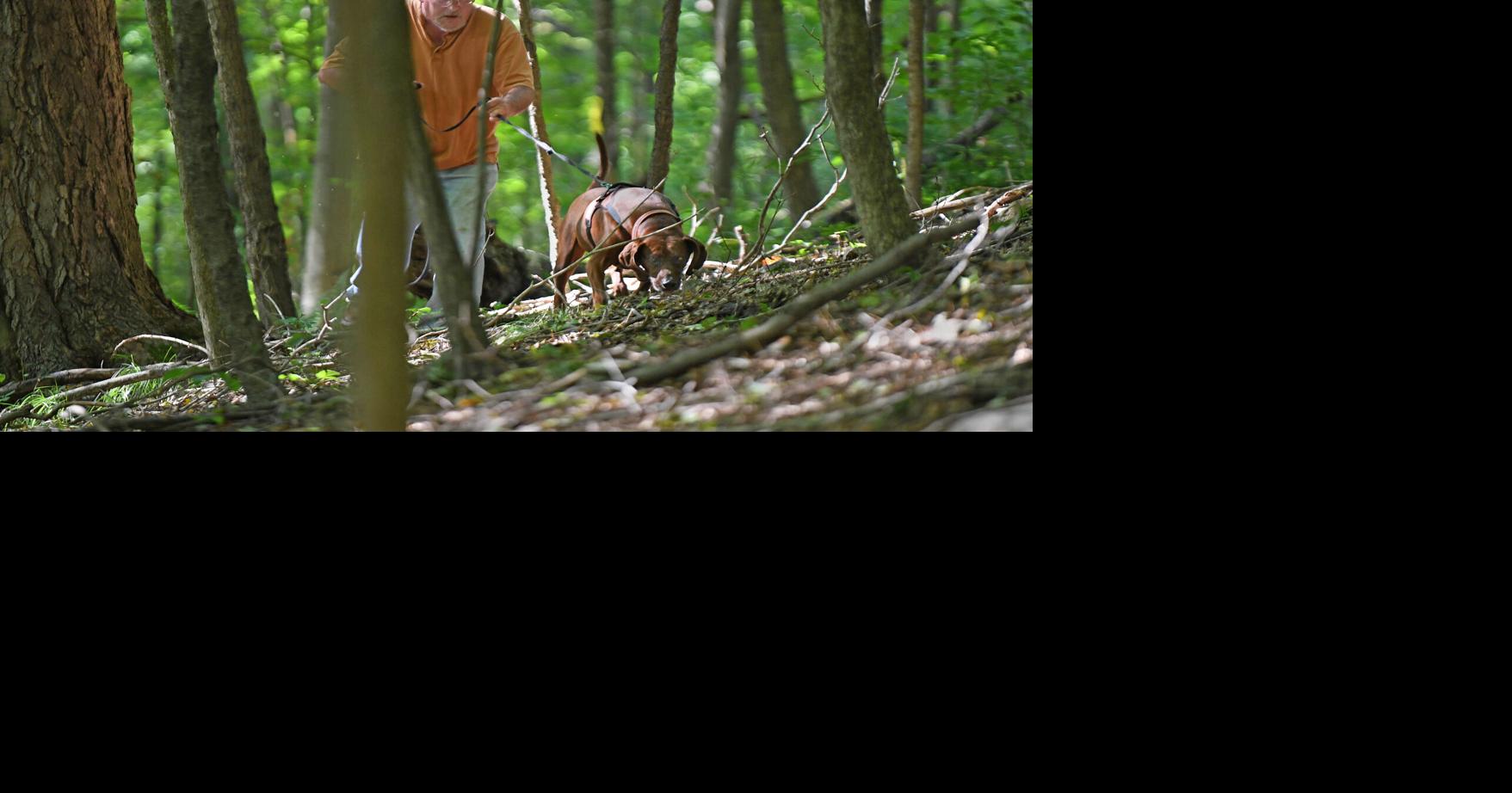 Outdoors | Deer tracking duo help local hunters find their game ...