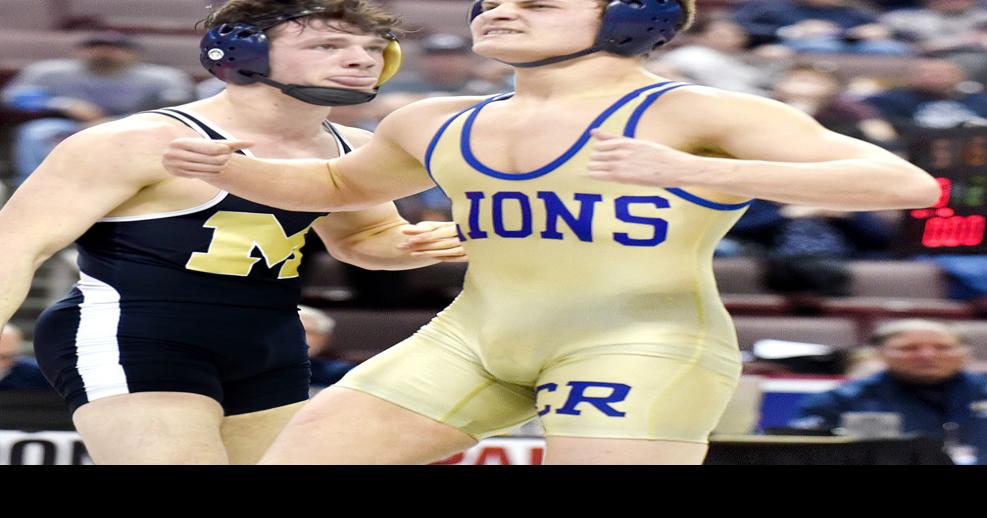 Chestnut Ridge's McGill captures state wrestling championship | Sports ...