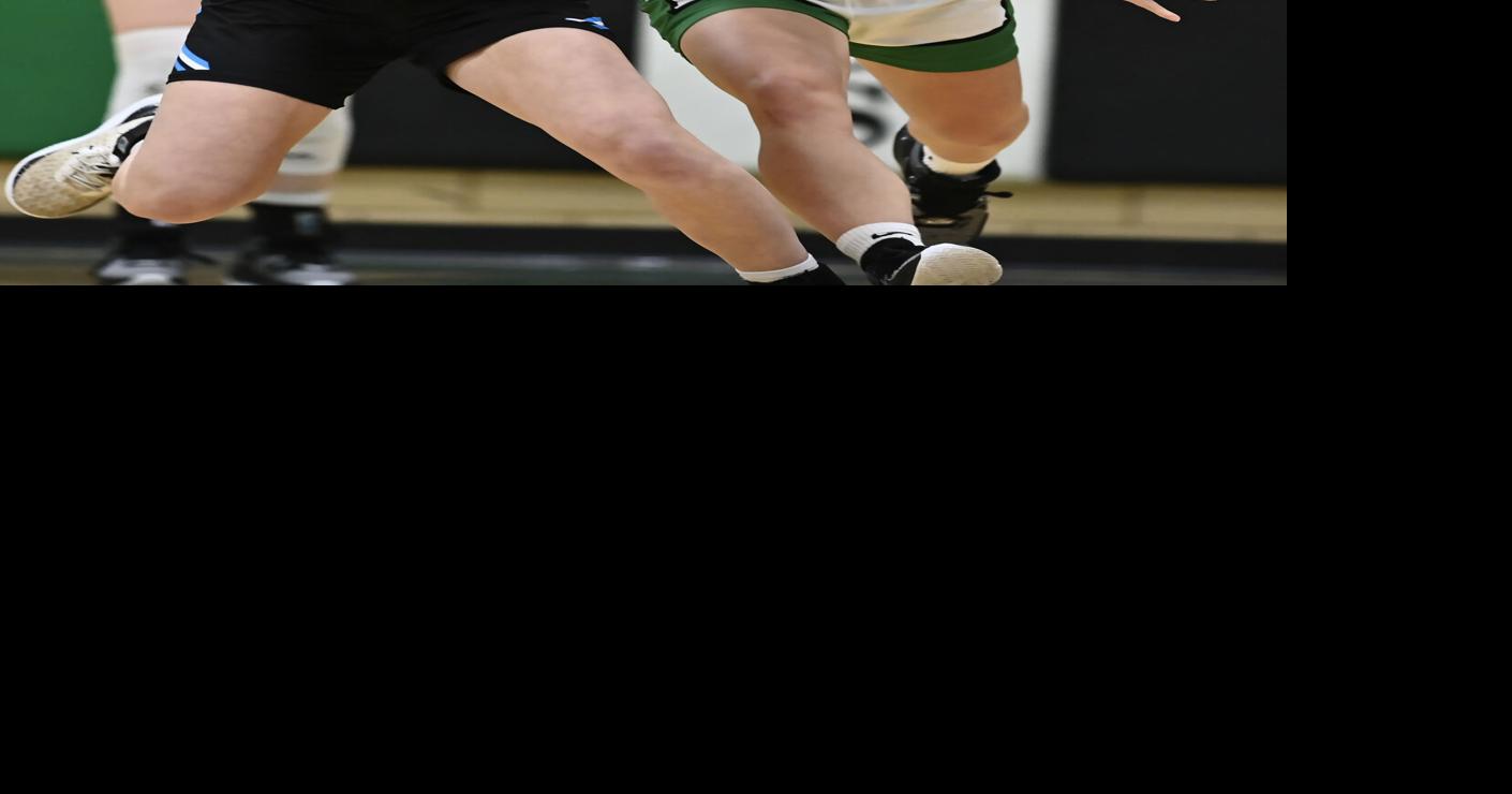PHOTO GALLERY | Portage girls fall to River Valley in Heritage ...