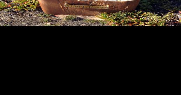 Lorax statue taken from home of Dr. Seuss's widow | News | tribdem.com