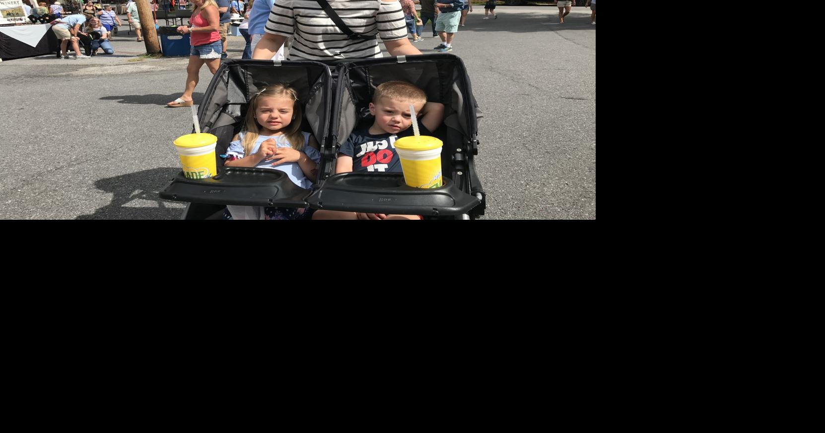 WATCH VIDEO | Westmont Log House Arts Festival in full swing | News ...