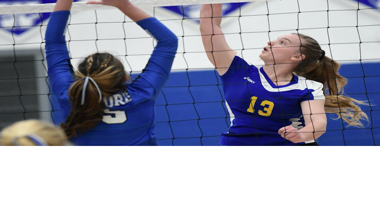 Redbank Valley defeats Chestnut Ridge in PIAA volleyball match | Sports ...
