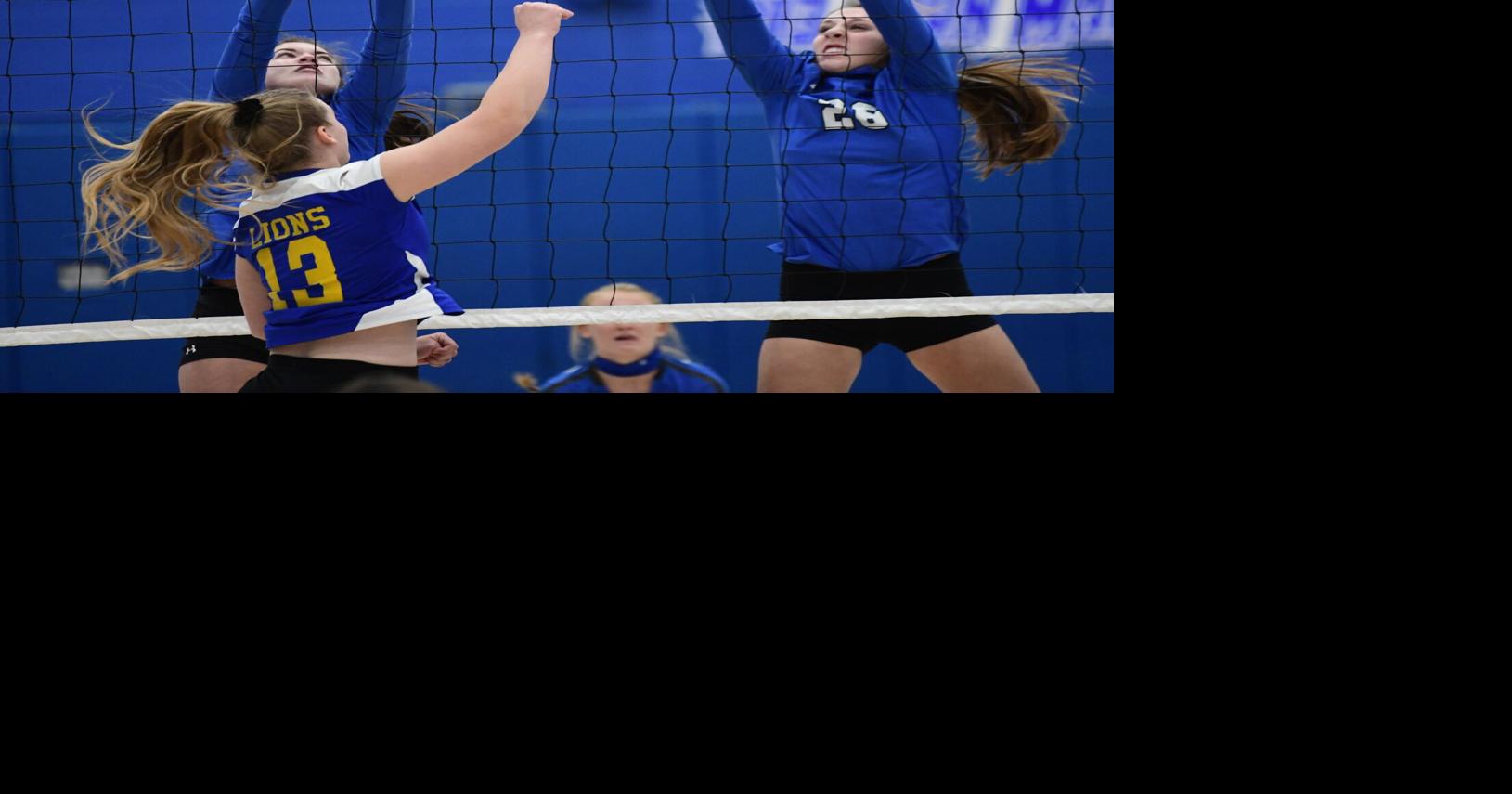 PHOTO GALLERY | Chestnut Ridge and Bedford fight for D5AA volleyball ...