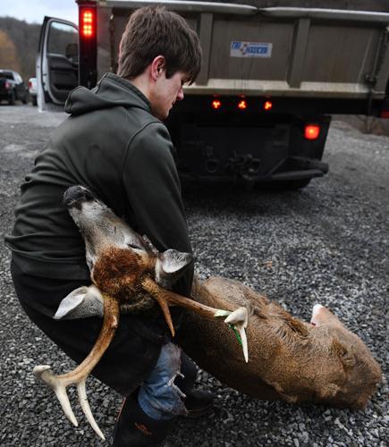 Apprentice Butcher | | tribdem.com