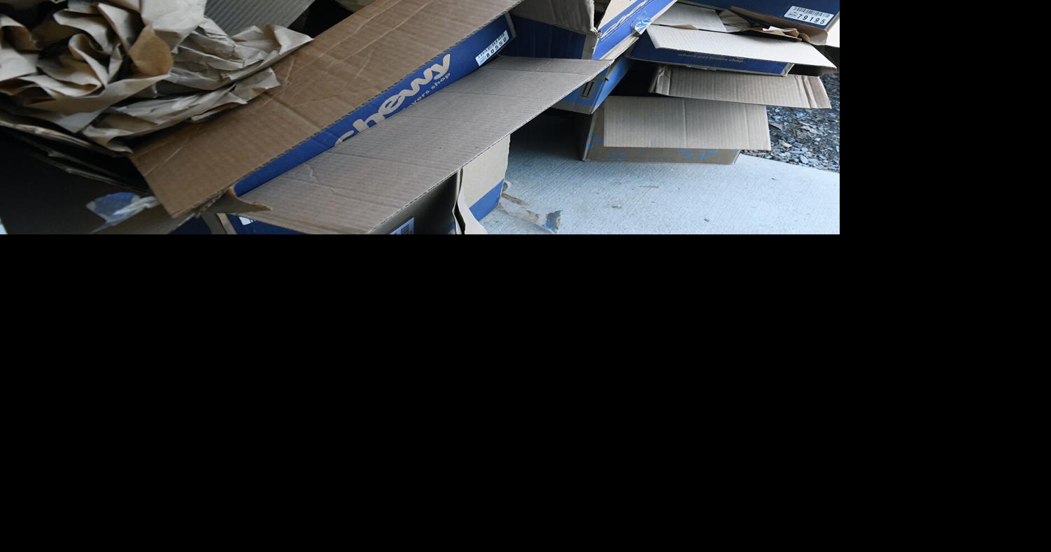 Chewy Boxes | | tribdem.com