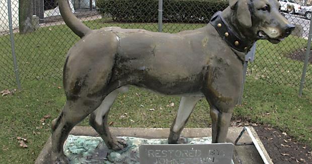 Morley’s dog coming home | Local News | tribdem.com