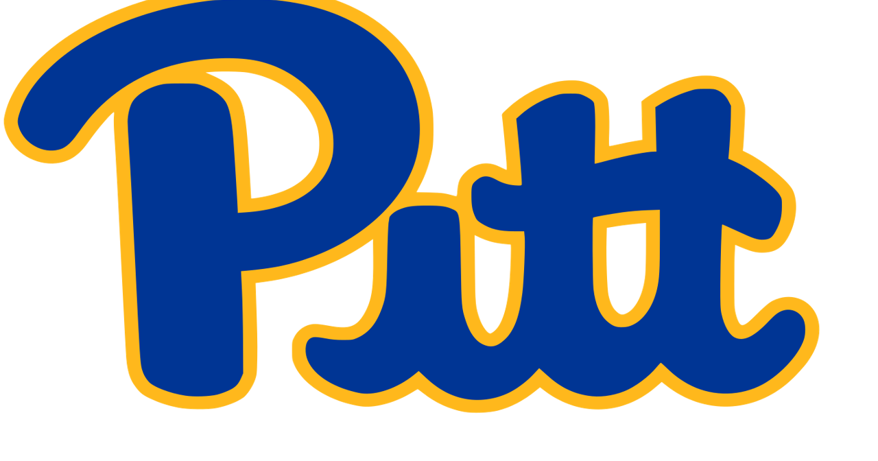 Pitt women's basketball | Wake Forest outscores Panthers by 26 points ...