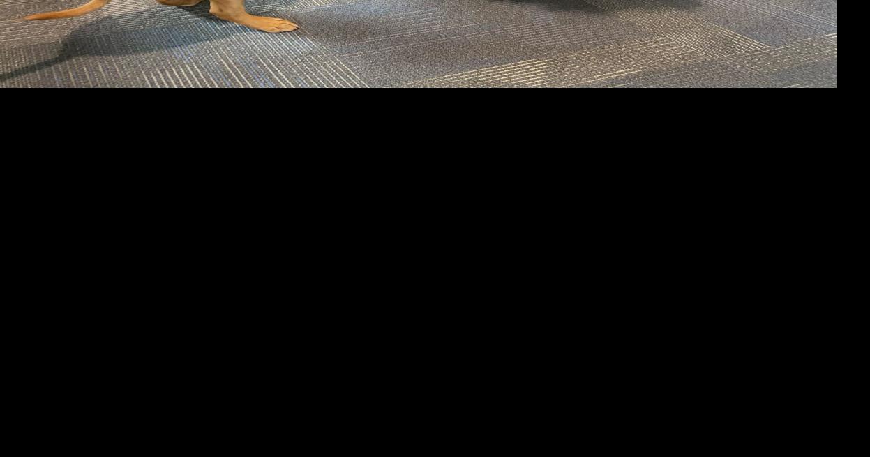 Archie at District Attorney's Detective Office | On the Beat with ...